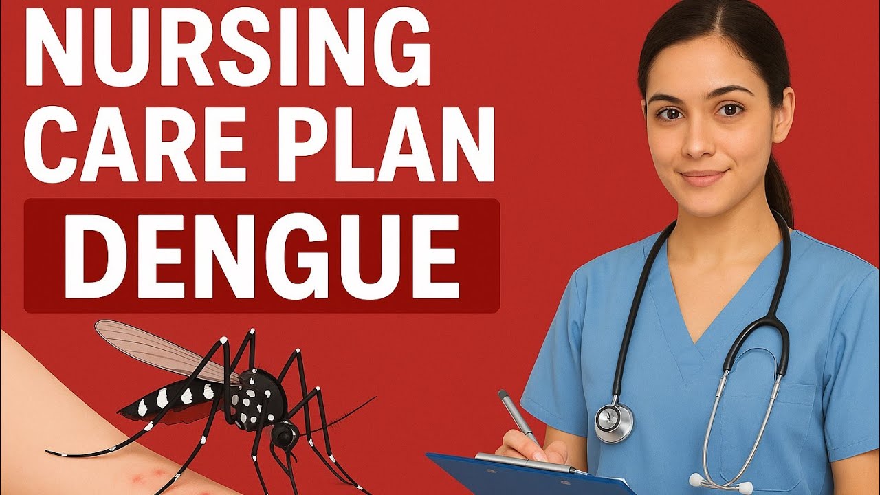 NURSING CARE PLAN ON DENGUE FEVER , Dengue Fever ke lie NCP - YouTube