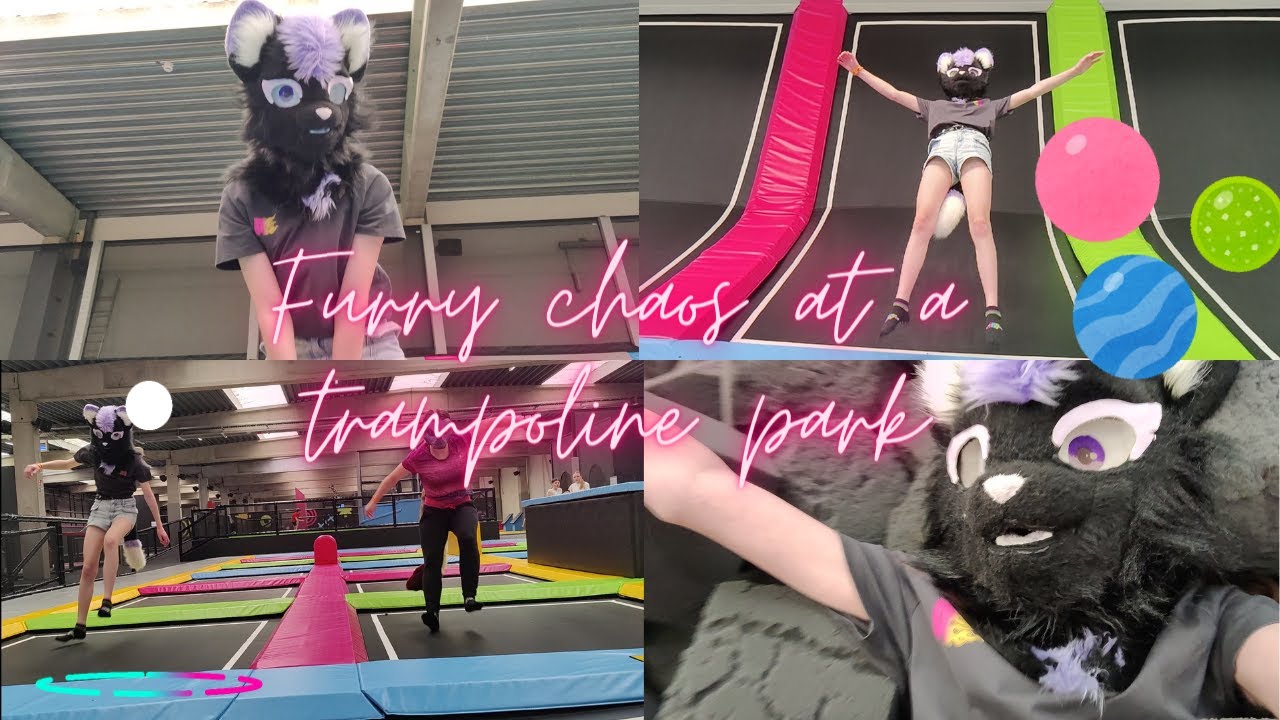 Furry chaos at a trampoline park!🐈‍⬛🐺🪽 w/@tailplays and Enky - YouTube