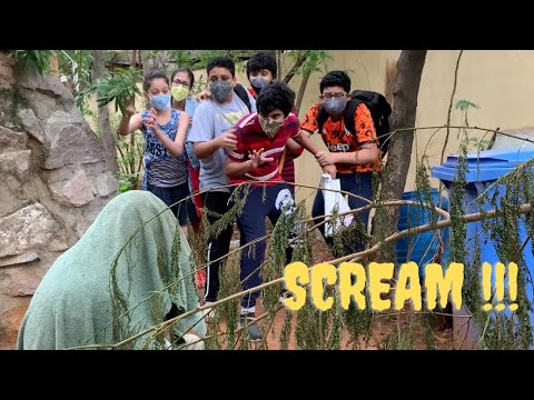 SCREAM !!! || Short Film 2021 - YouTube