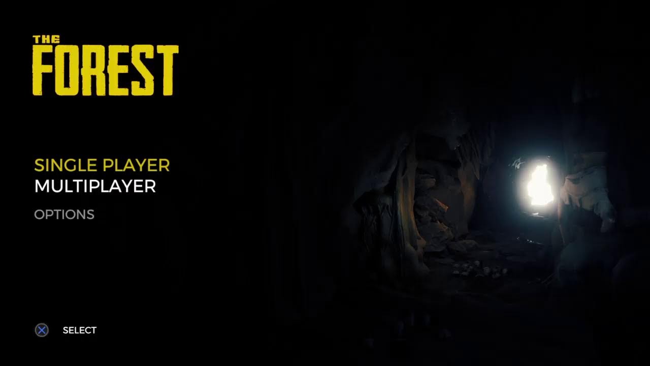 The Forest can I make a Turtle hermit home before death?! - YouTube