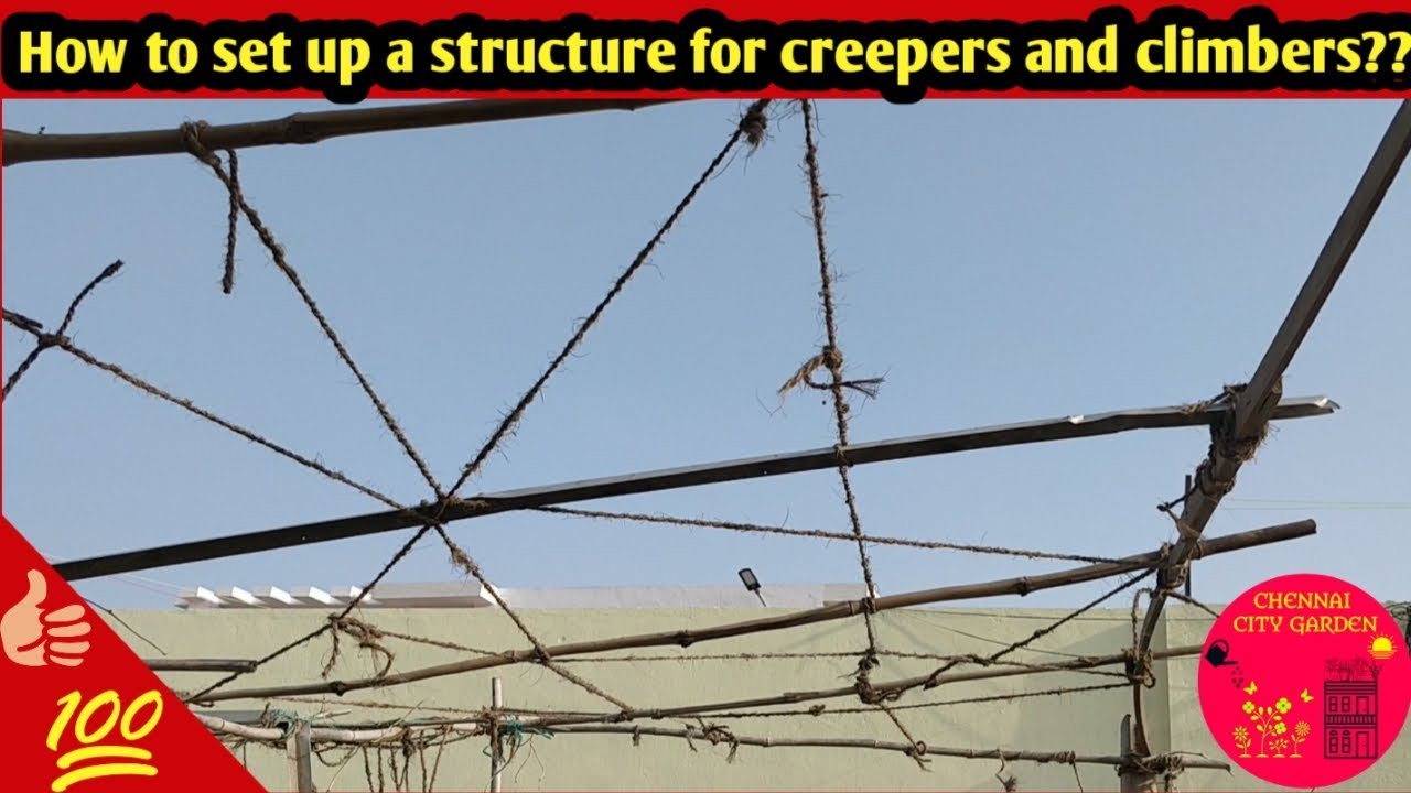 How to set up a structure for creepers and climbers?? - YouTube