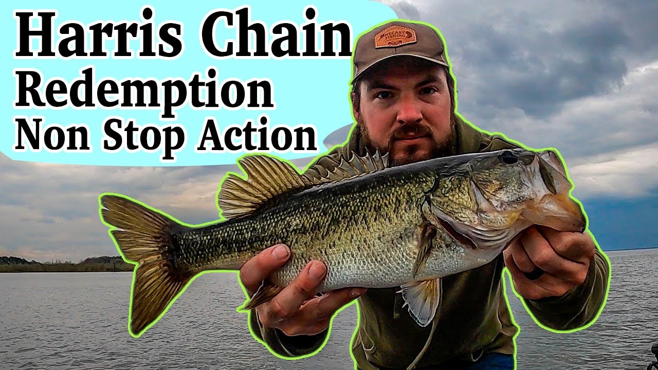 Harris Chain of Lakes Bass Fishing in Lake Griffin. Non-Stop Off Shore ...