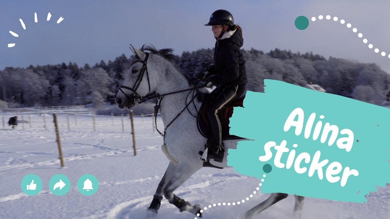 Alina skenar på ängen, till slut får hon stopp xD - VLOGG - YouTube