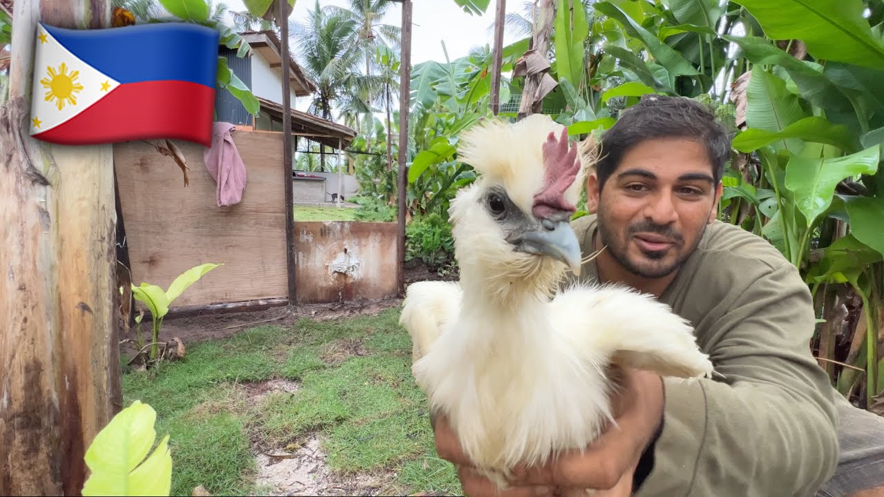 My Dream Philippines Chicken House 🇵🇭 - YouTube
