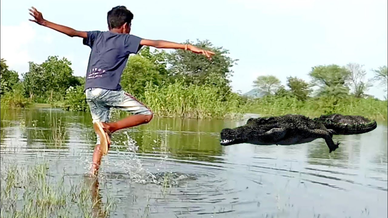 Crocodile Attack Man In River Animal Attack - YouTube