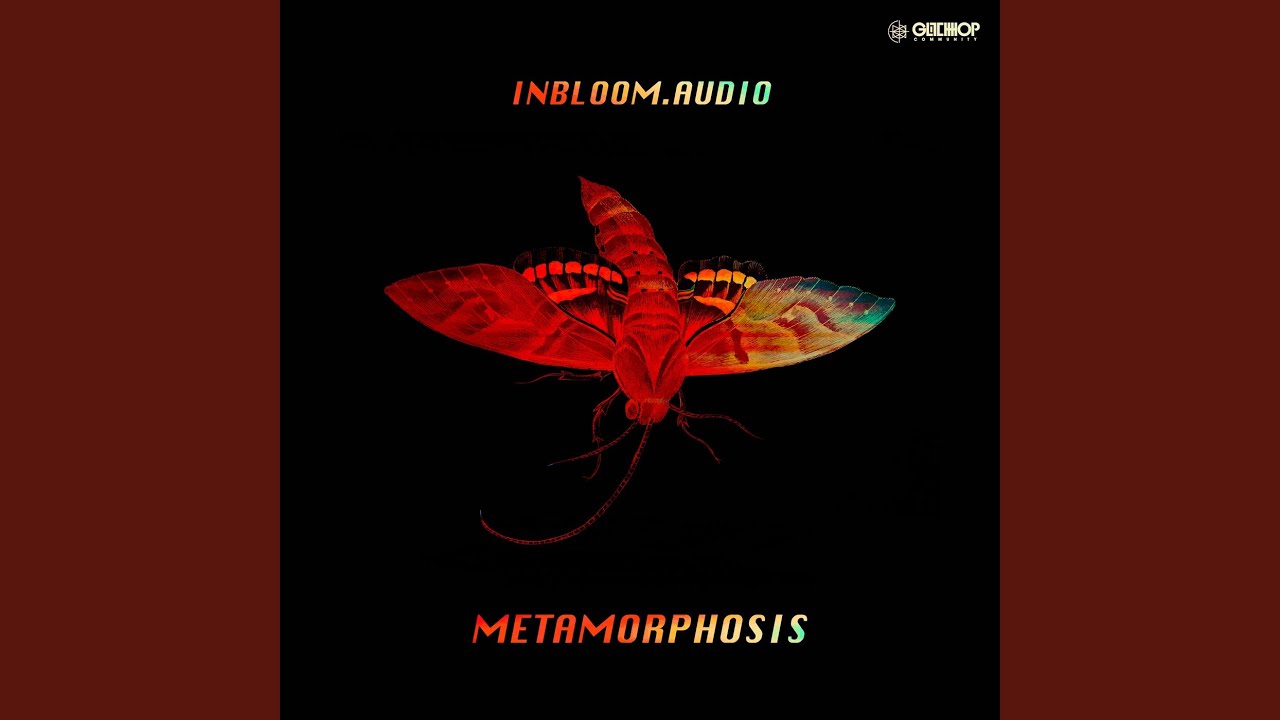 Metamorphosis (Part 2) - YouTube