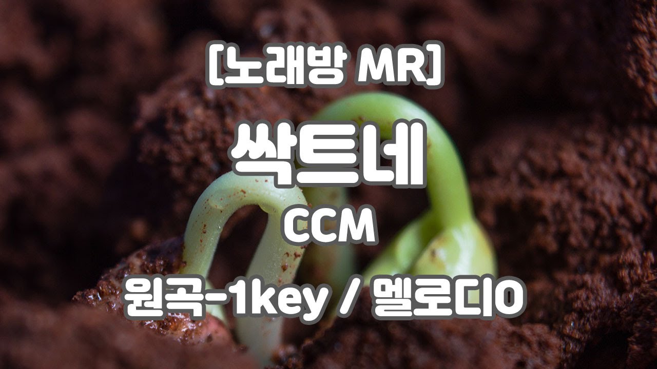 [DJ노래방/멜로디O] 싹트네 MR (B 원곡-1key) / 하다지MR - YouTube