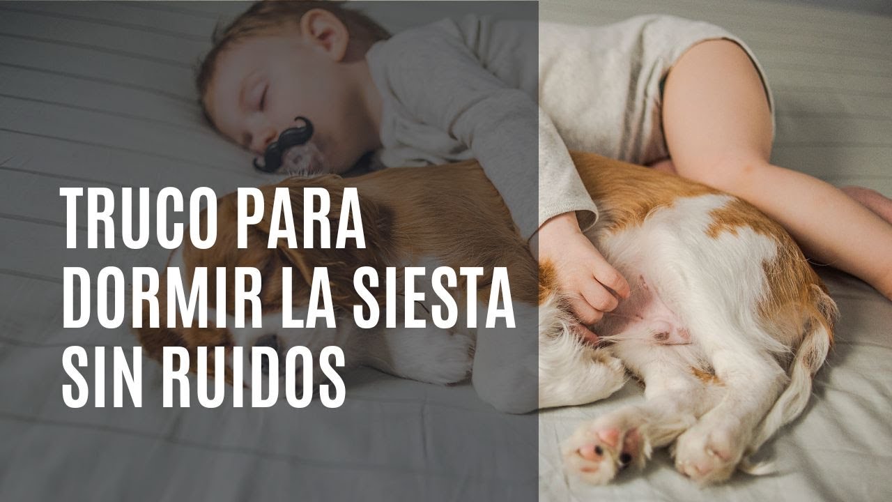 Truco para dormir la siesta sin ruidos - YouTube