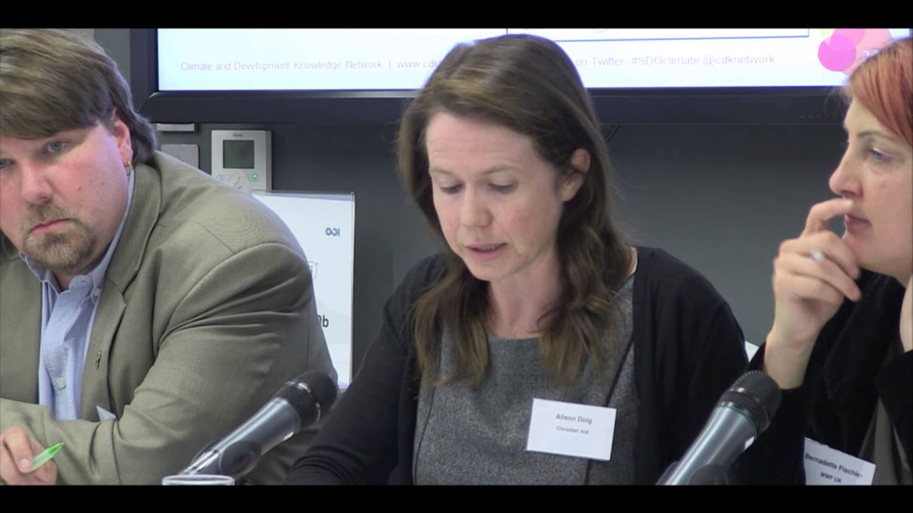 Dr Alison Doig - Climate change & the post 2015 development framework ...