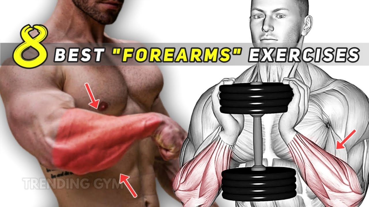 8 FOREARM WORKOUT - Best ARMS Exercises Routine - YouTube