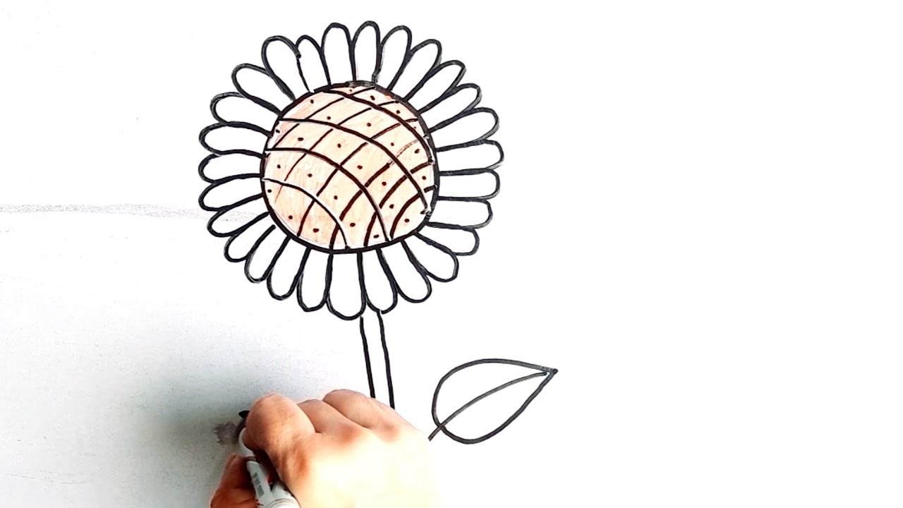Cute drawing sunflower sketch beautiful - YouTube