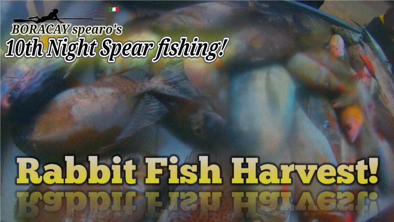 Rabbit Fish harvest || Night Spear-fishing Vlog#10 || Boracay Spearos ...