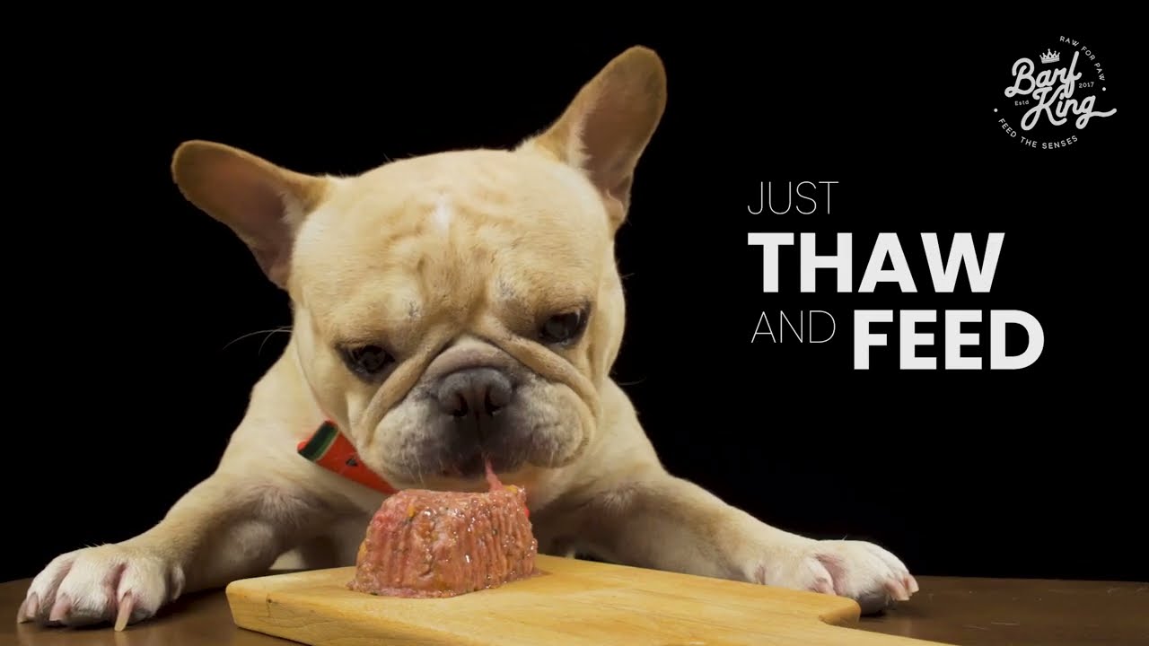 BARF feeding has never been easier! - YouTube