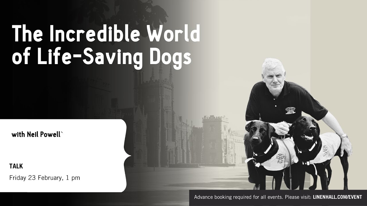 The Incredible World of Life Saving Dogs - YouTube