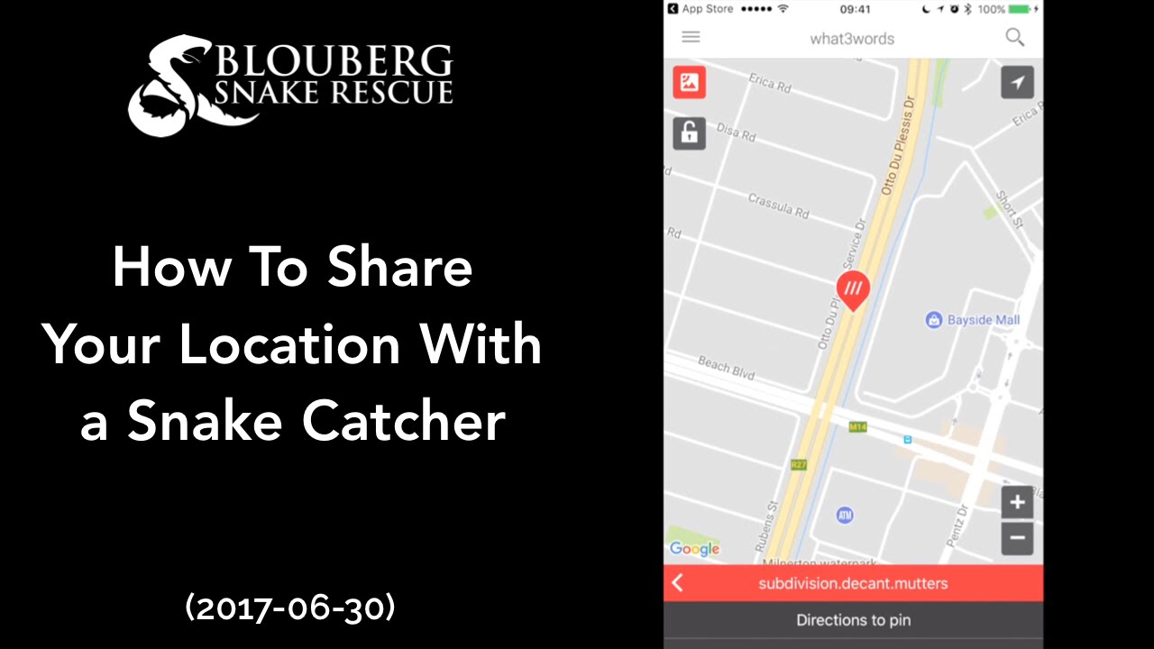 How to Share Your Location with your Snake Catcher (20170630) - YouTube