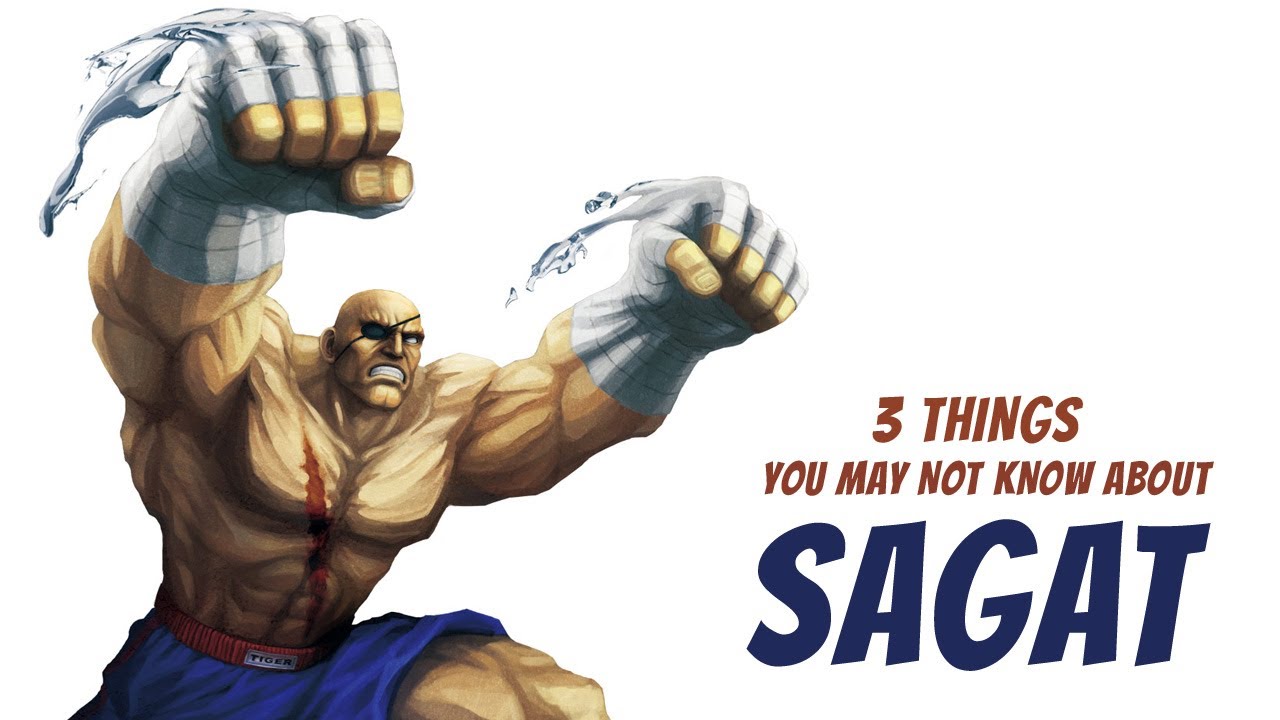 3 things you may not know about sagat - YouTube