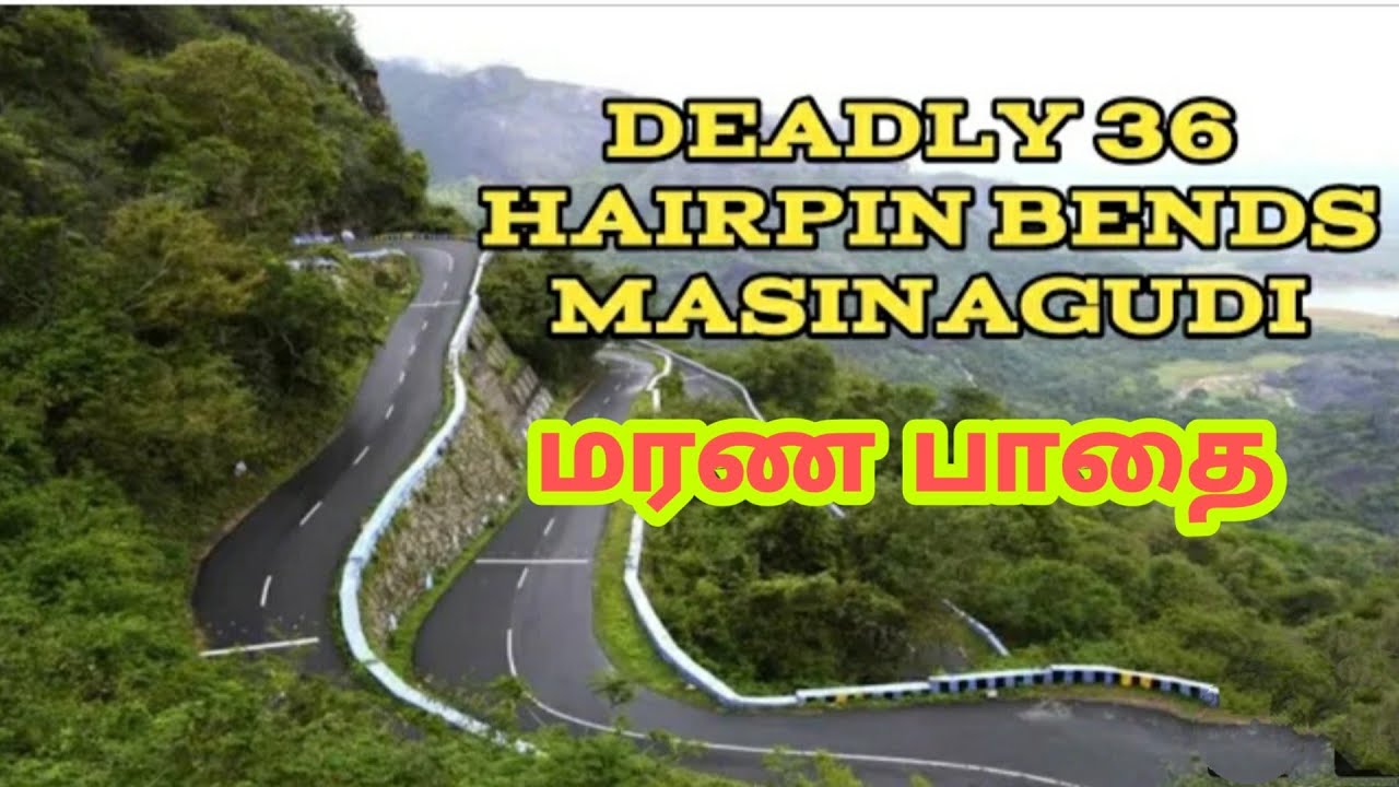 ooty-to-masinagudi-road-trip-ooty-tourist-places-bandipur-forest