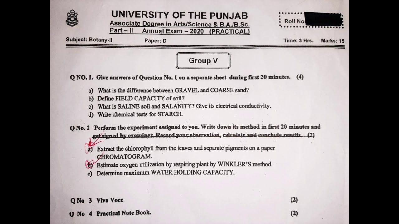 Practical Papers Bsc Part2 UNIVERSITY OF THE PUNJAB - YouTube