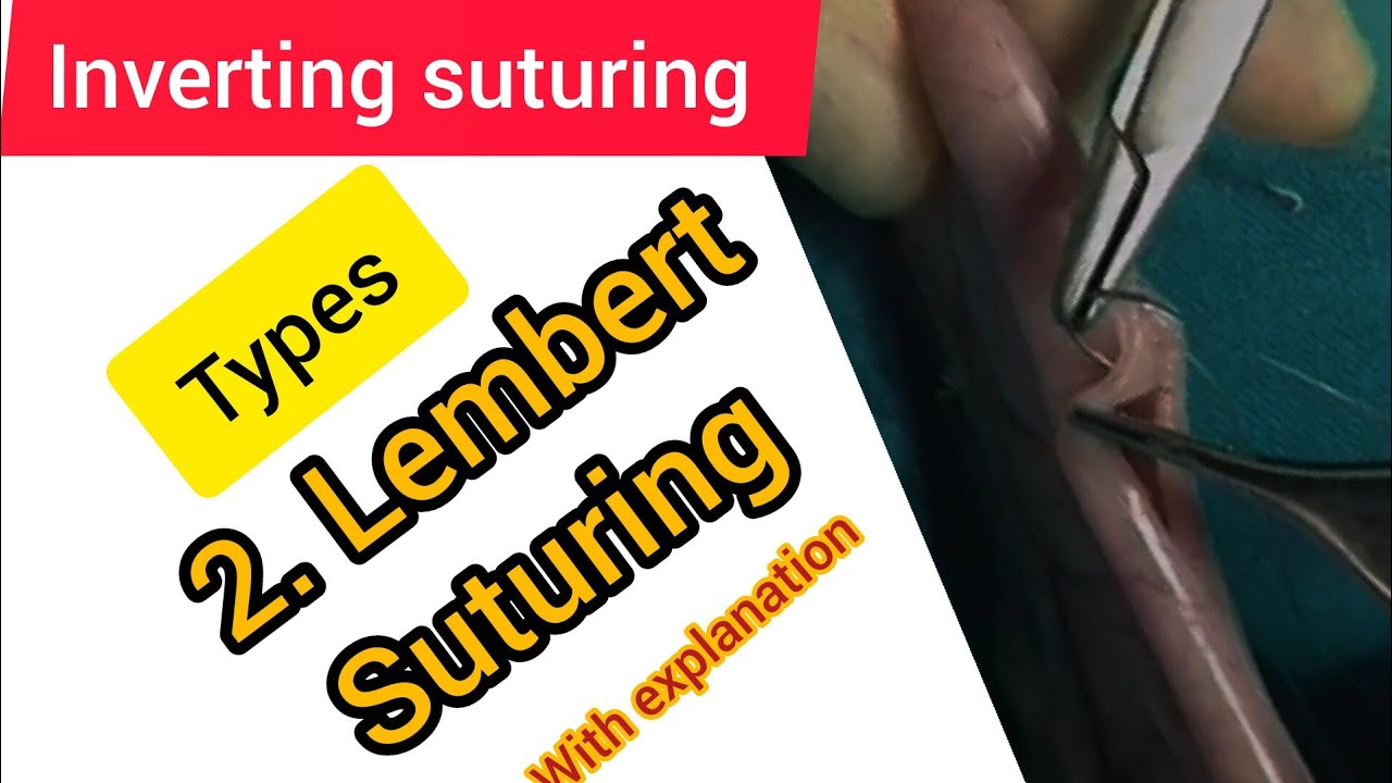 lecture 4(b) inverting suturing || lembert suturing pattern#vet #dvm # ...