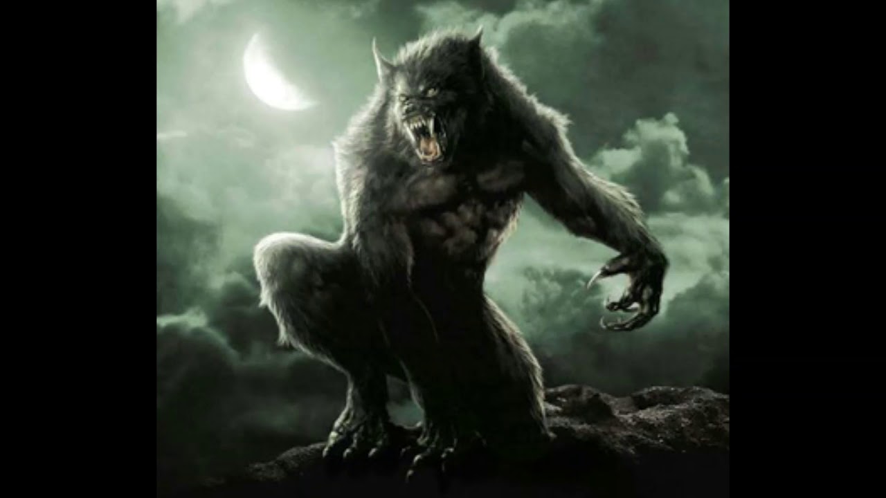 ESPECIAL NIÑOS: HISTORIAS REALES y Terroríficas de HOMBRES LOBOS ...