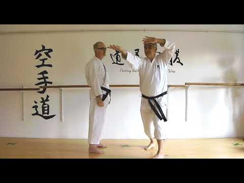Heian Yondan Bunkai Strategies 2022 week 35 koryu karate oyo jutsu - YouTube