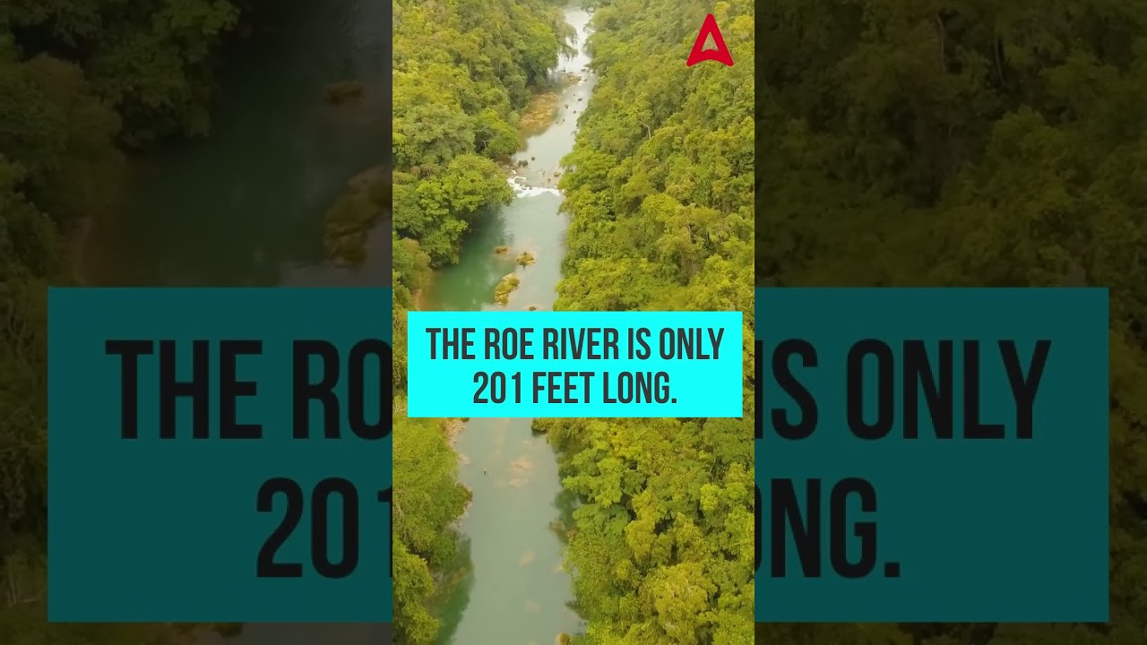 Roe River Amazing Facts| Static Gk | River #shorts #ytshorts - YouTube