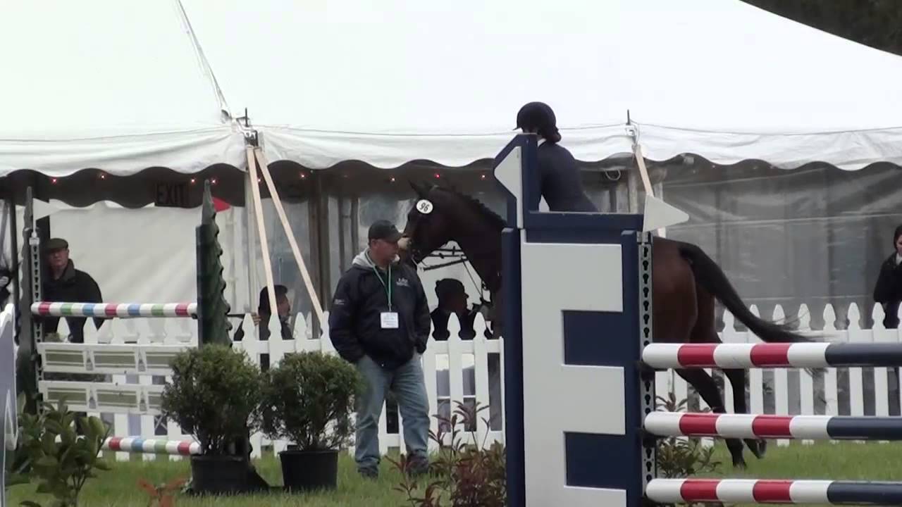 Rebecca Gall & Can Ya Dig It Carolina International 2 Star CIC March ...