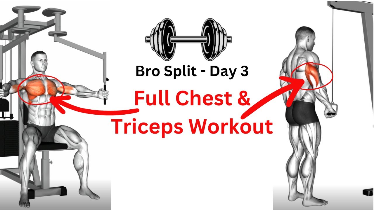 Chest & Triceps Workout - Day 3/5 - Bro Split Technique - Program A (5 ...