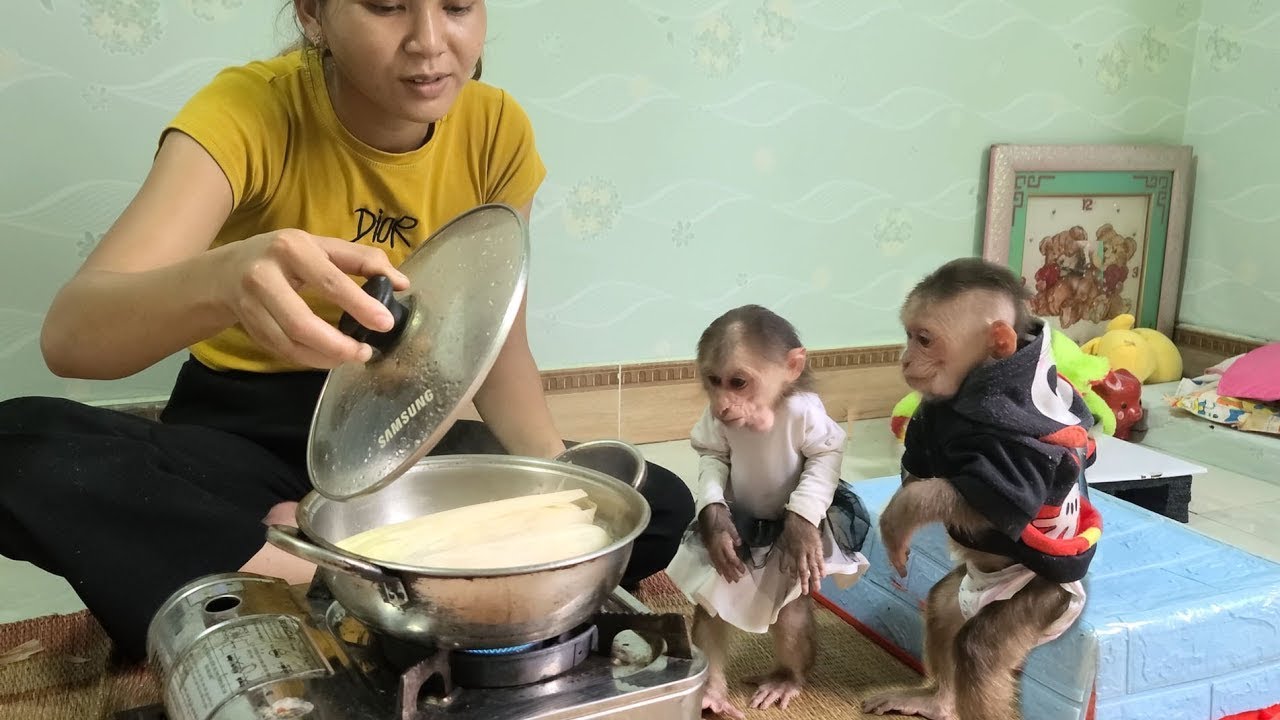 Full Video: Mimi Kuku screams and can't keep calm when Mom divides food ...