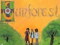 Sunforest – Sound Of Sunforest (2005, Vinyl) - Discogs