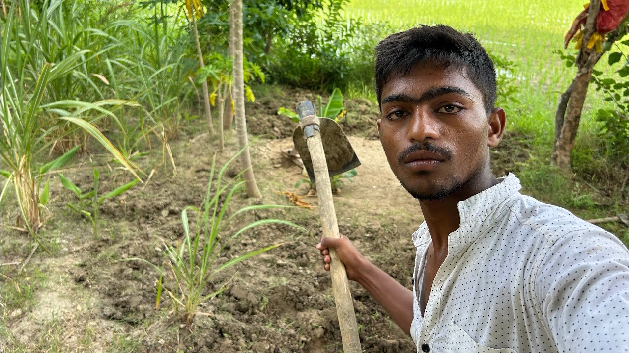 Sunday ke din phavada lekar kya karane laga 🙂 - YouTube