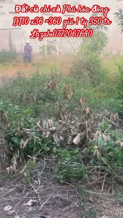 Vi trí /30m đường Phú Mỹ xây phú hoà đông củ chi sát xí nghiệp may 100 dt10 x36 =360 m ...