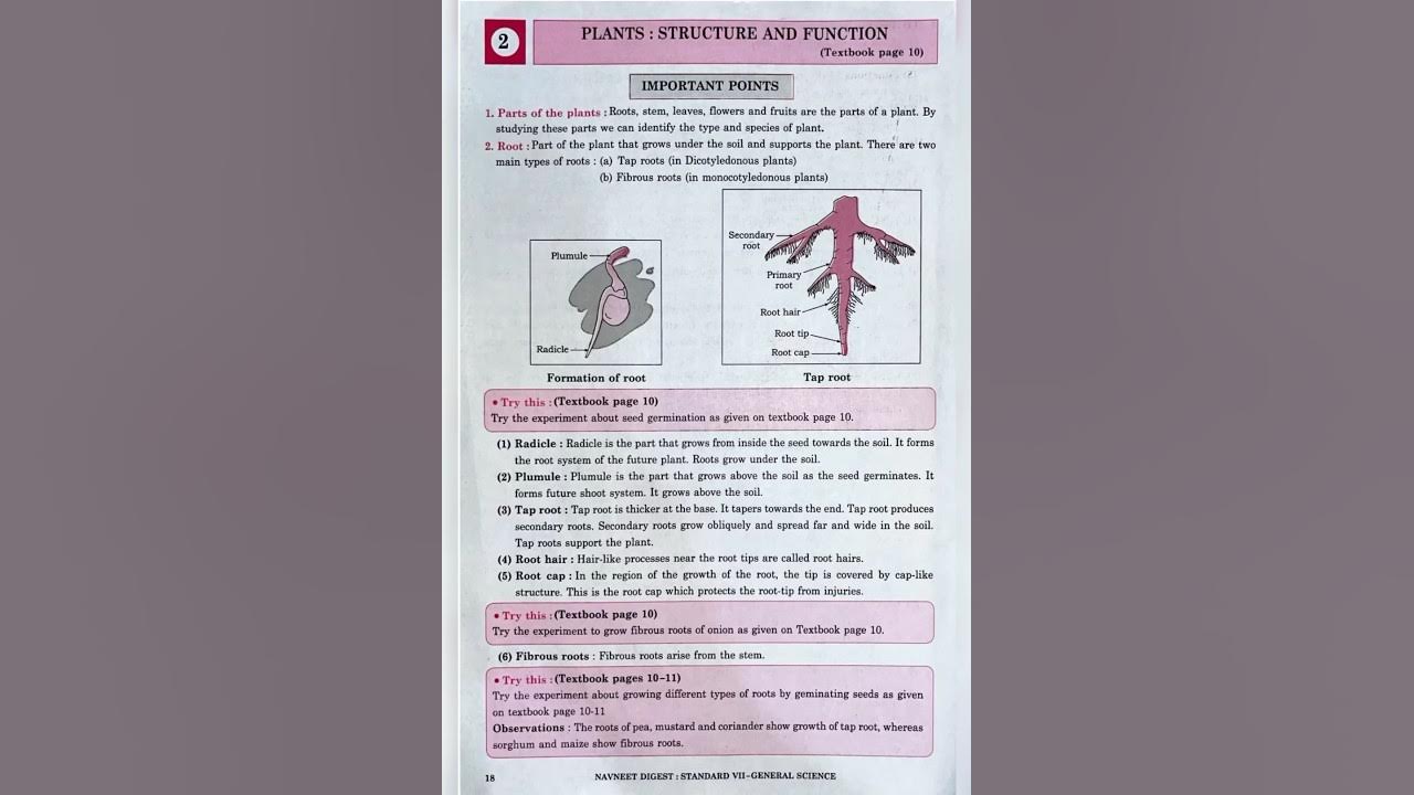 Class 7 Science 2. Plants: structure and function Navneet Solution #@studymaker - YouTube