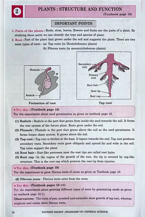 Class 7 Science 2. Plants: structure and function Navneet Solution #@studymaker - YouTube