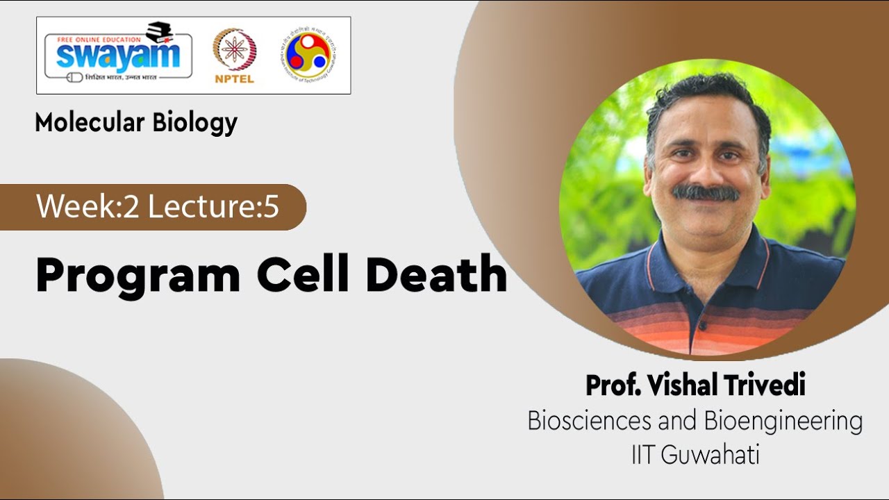 Lec 10: Program Cell Death - YouTube