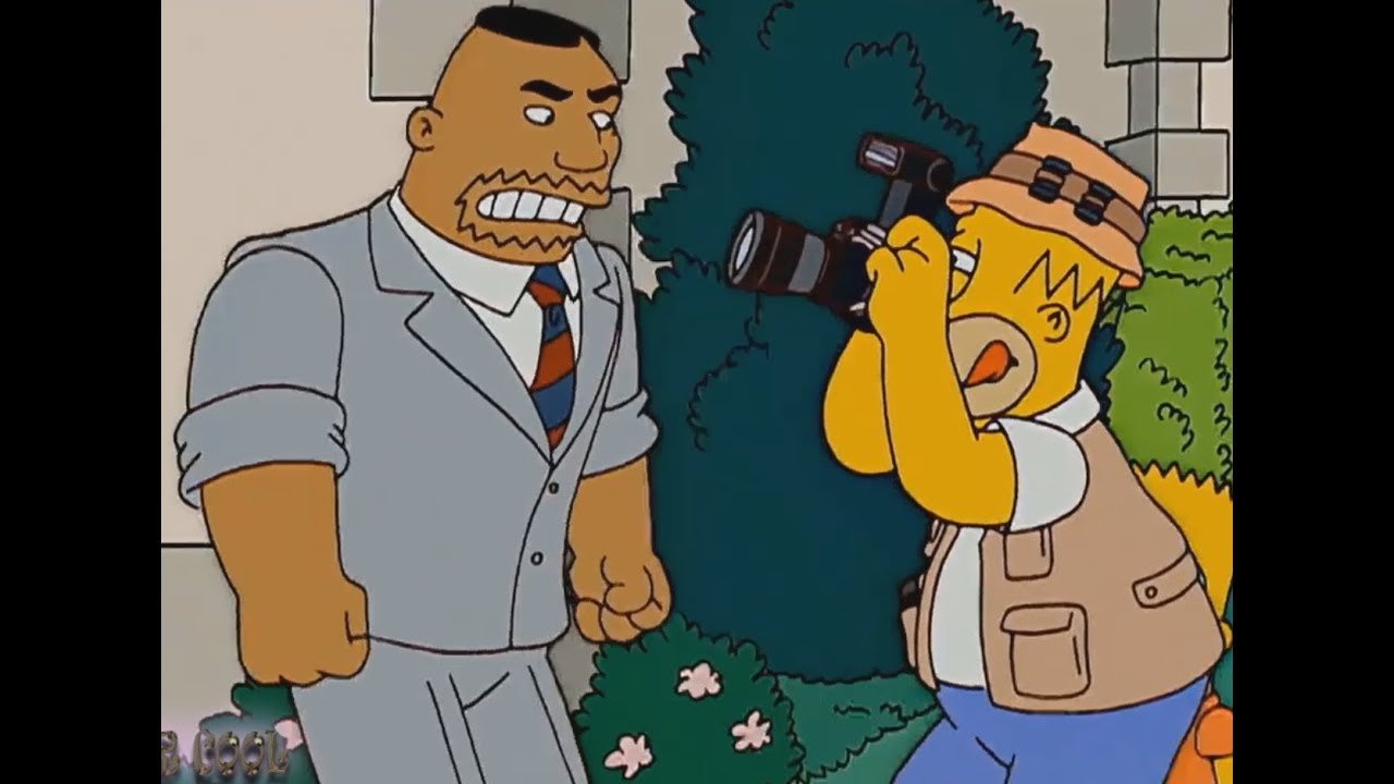 The Simpsons - One Day Homer's Photographer! - YouTube