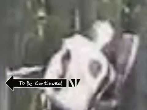 Lightning Bolt! Lightning Bolt! SLEEP - YouTube