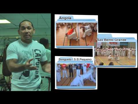 Tutorial Mente Potencializada Professor Mola