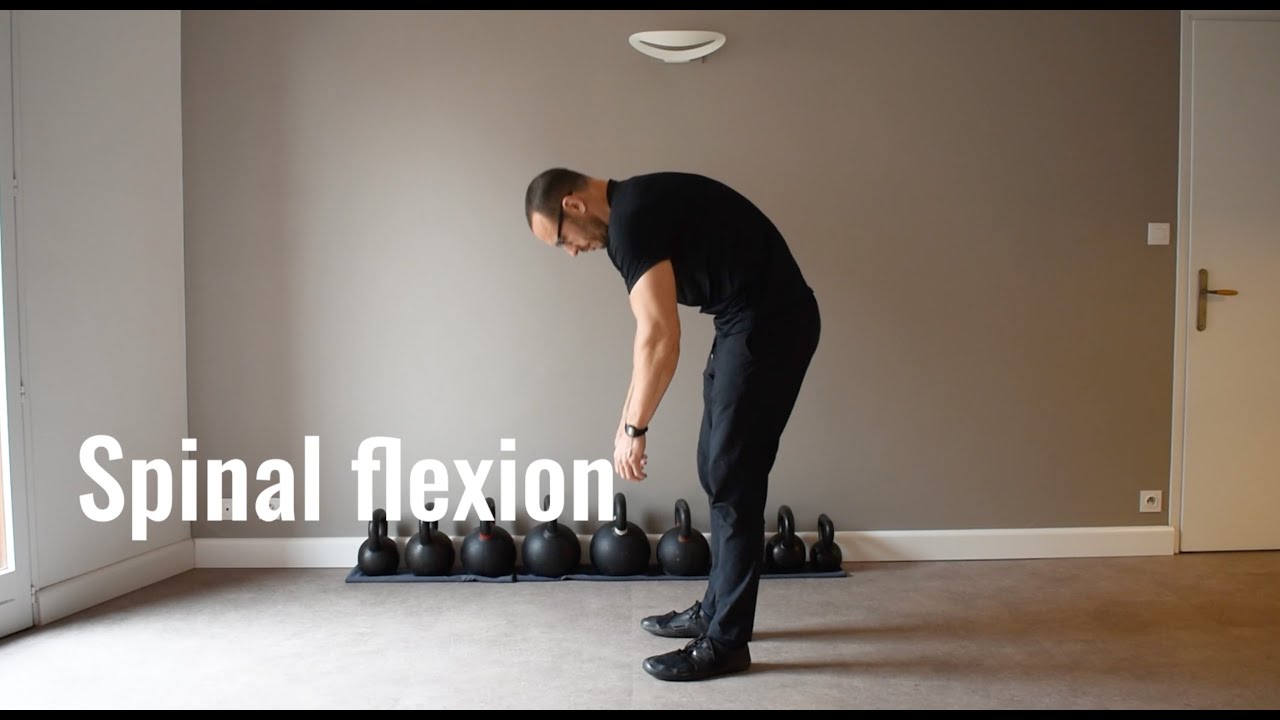 Spinal Flexion & Extension - YouTube