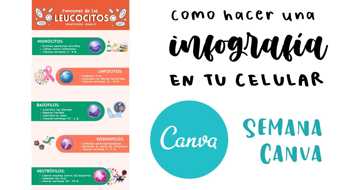 Infografia Canva