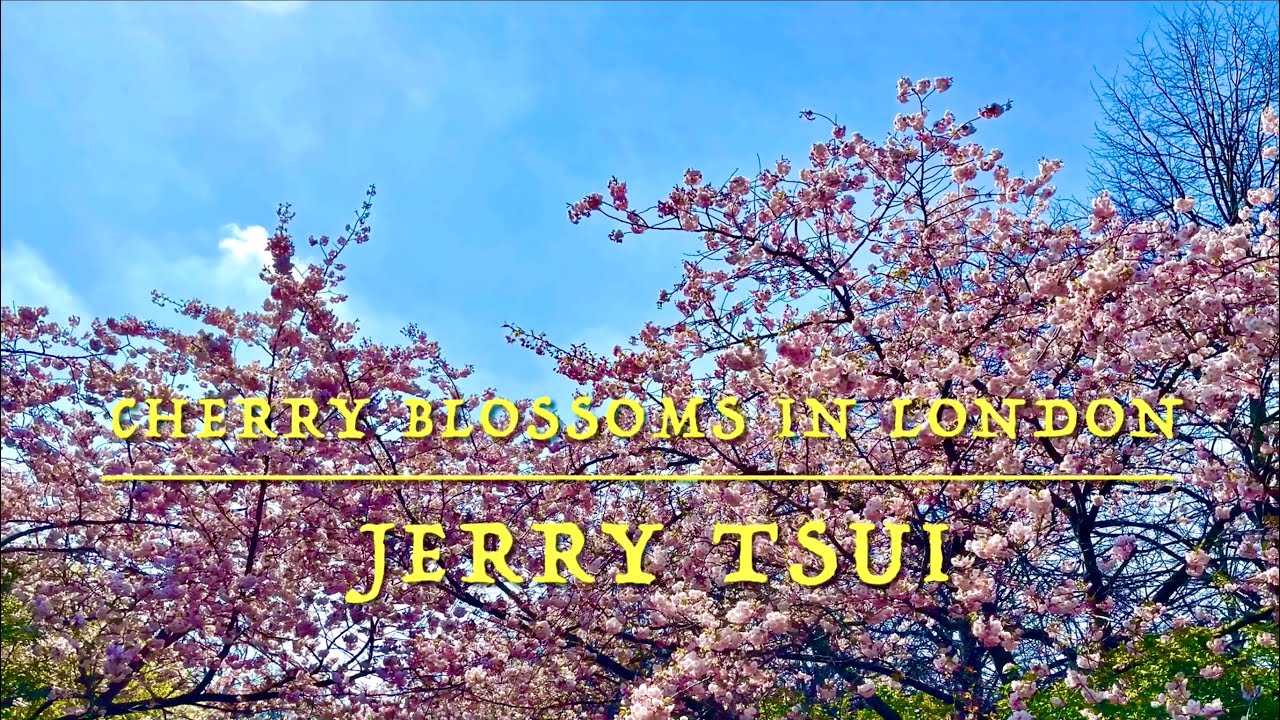 Jerry Tsui - Cherry Blossoms in London - YouTube