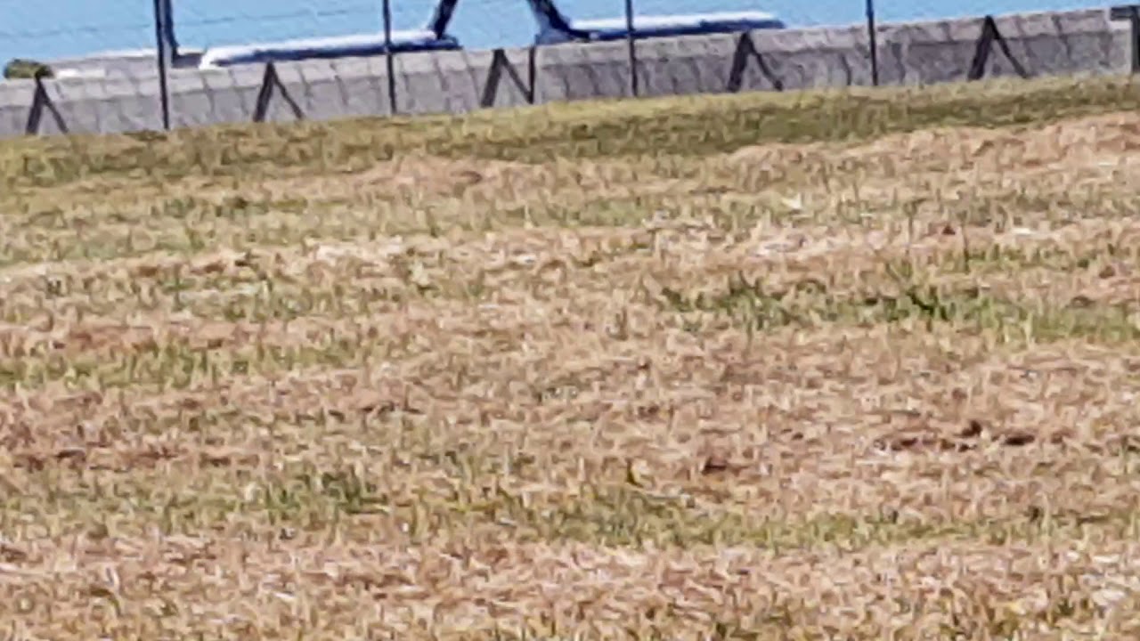 FD467 BNE - HVB departure - YouTube