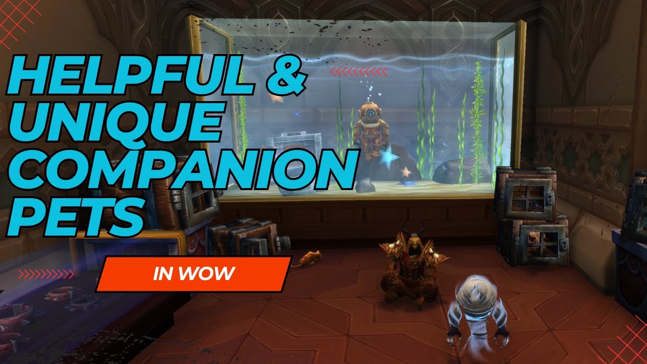 Helpful and unique companion pets in WOW - YouTube