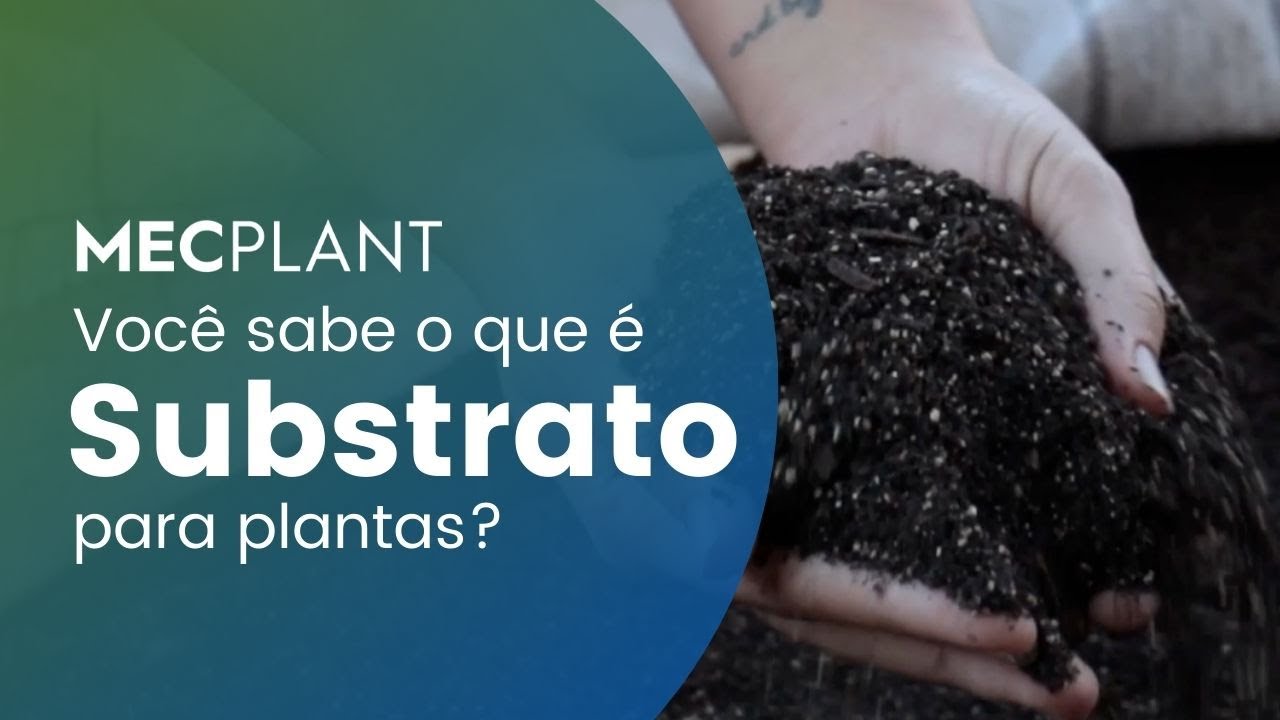 Você sabe o que é substrato para plantas? - YouTube