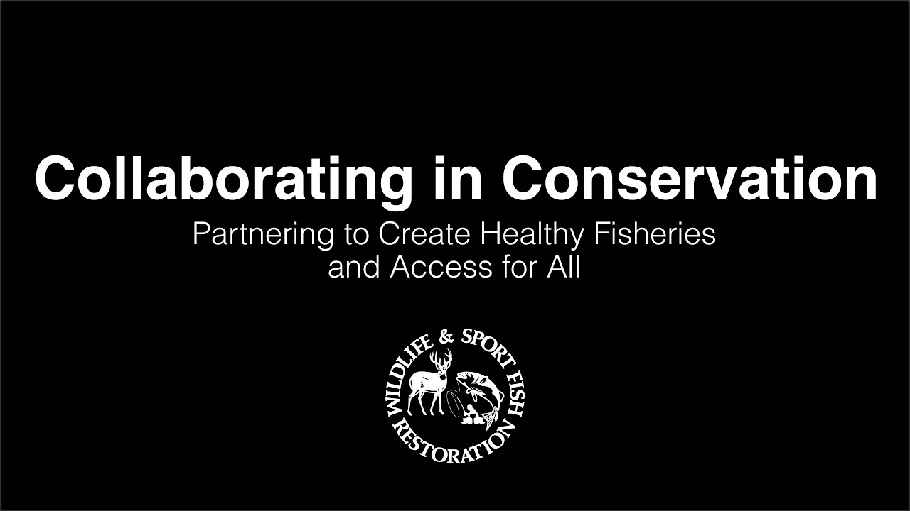 Collaborating in Conservation - YouTube