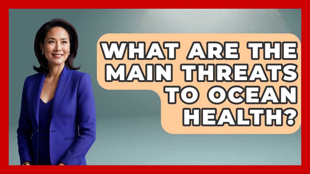 What Are the Main Threats to Ocean Health? | The Marine Life Explorer ...