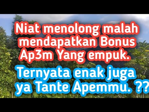 Mendapatkan Bonus dari Tante Yanti 💕 Cerpen romantis