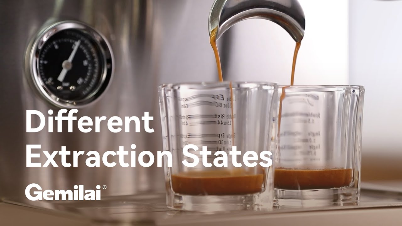 Extraction Flow Rate Comparison Tutorial｜Gemilai - YouTube
