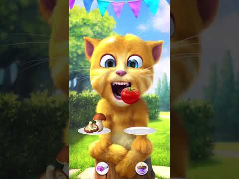 talking ginger 2 #talkingginger #gingercat #talkingginger