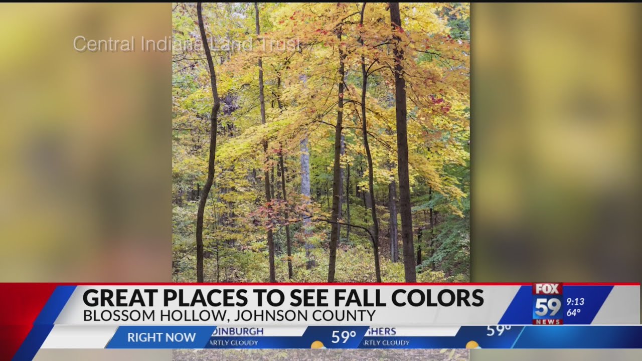 Places to see fall colors aside from Brown County - YouTube